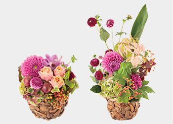 Aoyama Flower Market